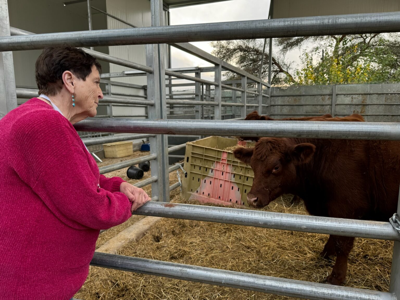 Ariel, Shiloh - Billye Brim Ministries